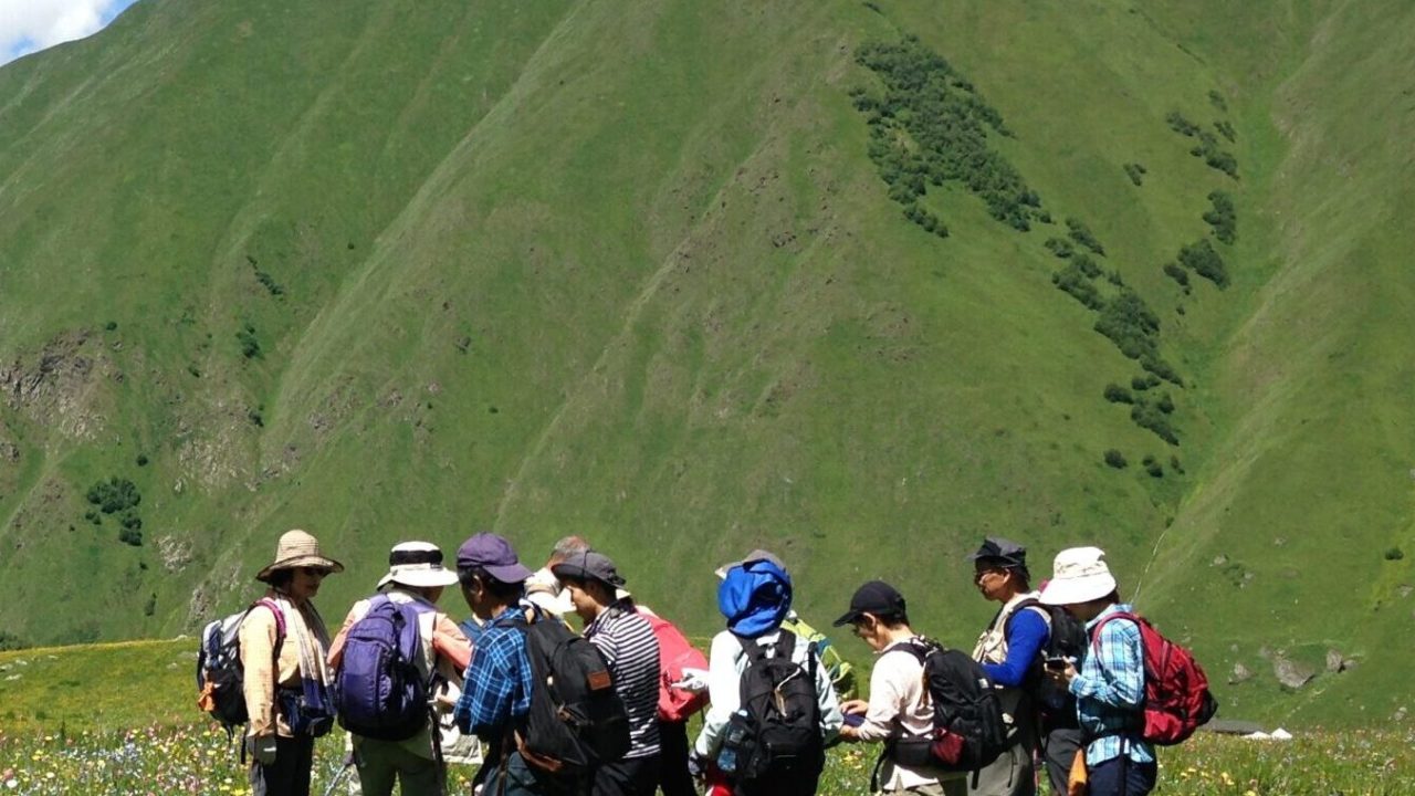 Summer in Georgia: Top things to do in Georgia in summer - Georgian DMC